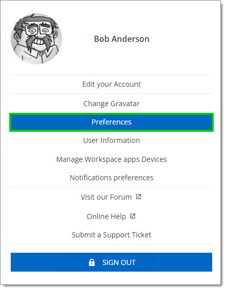 Preferences - Devolutions Documentation